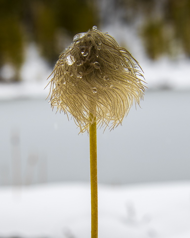 R. Todd Slawson – Reuben Saunders Gallery