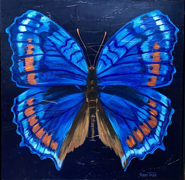 Susan Tinker – Reuben Saunders Gallery