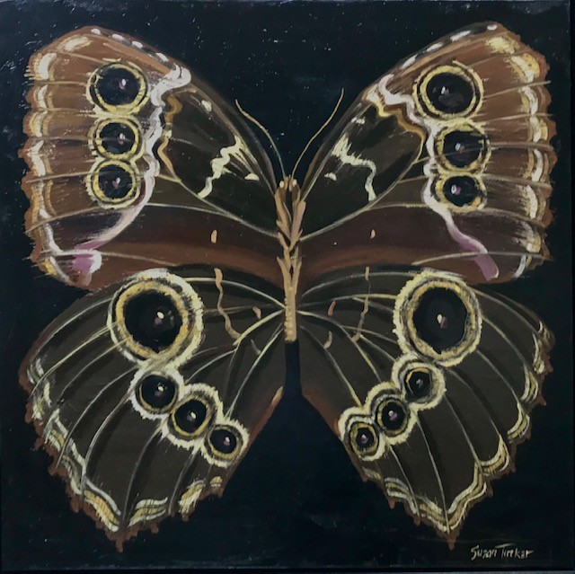 Susan Tinker – Reuben Saunders Gallery