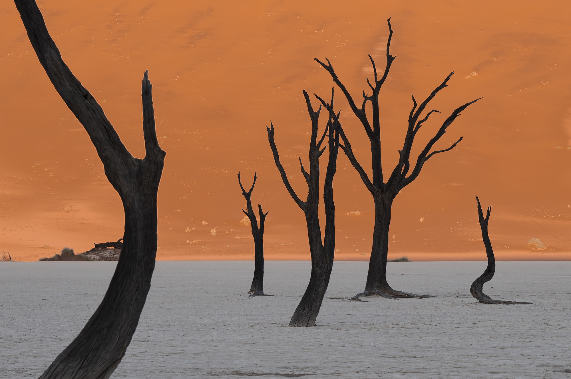 R. Todd Slawson – Reuben Saunders Gallery