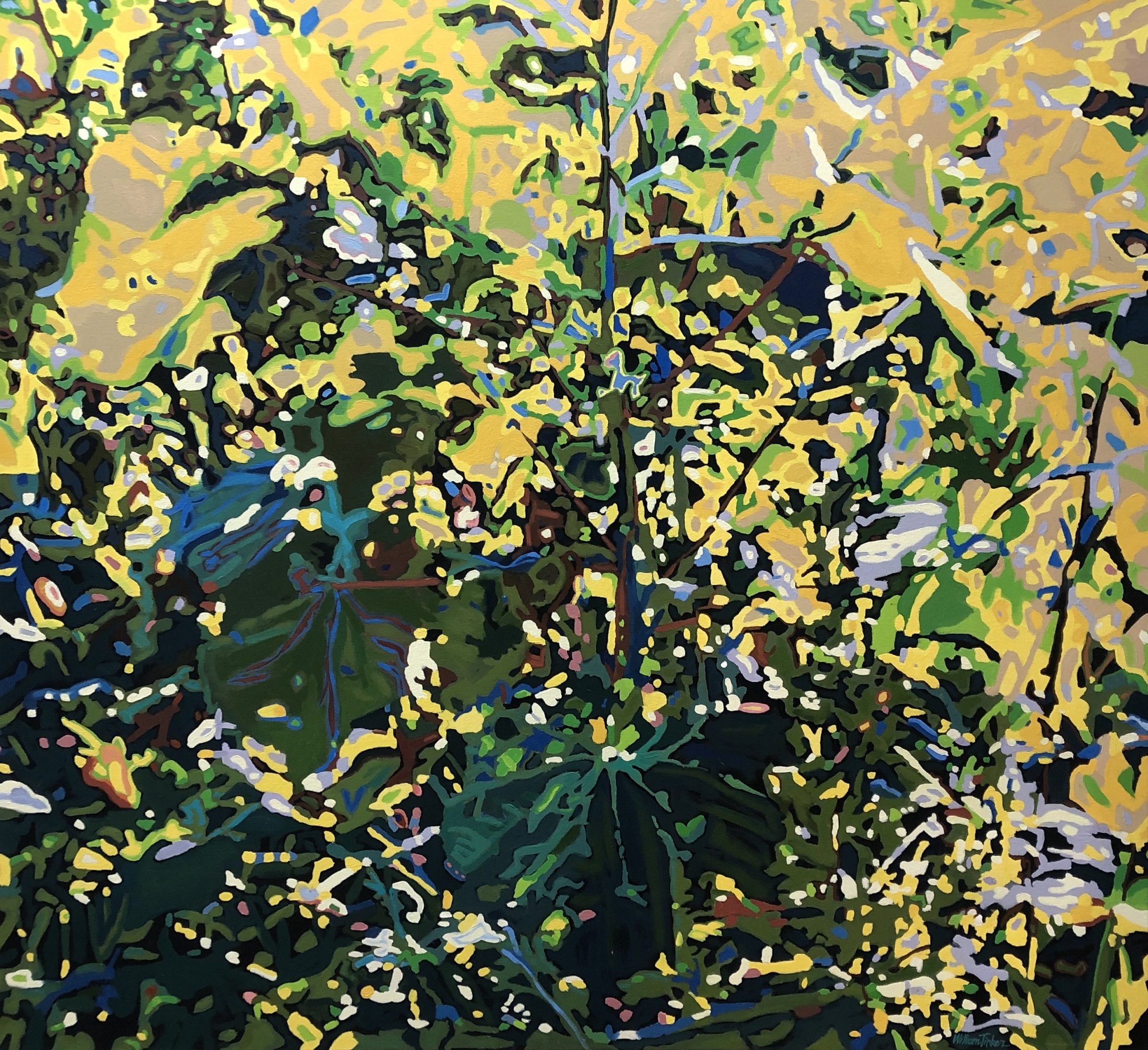 William Tinker – Reuben Saunders Gallery