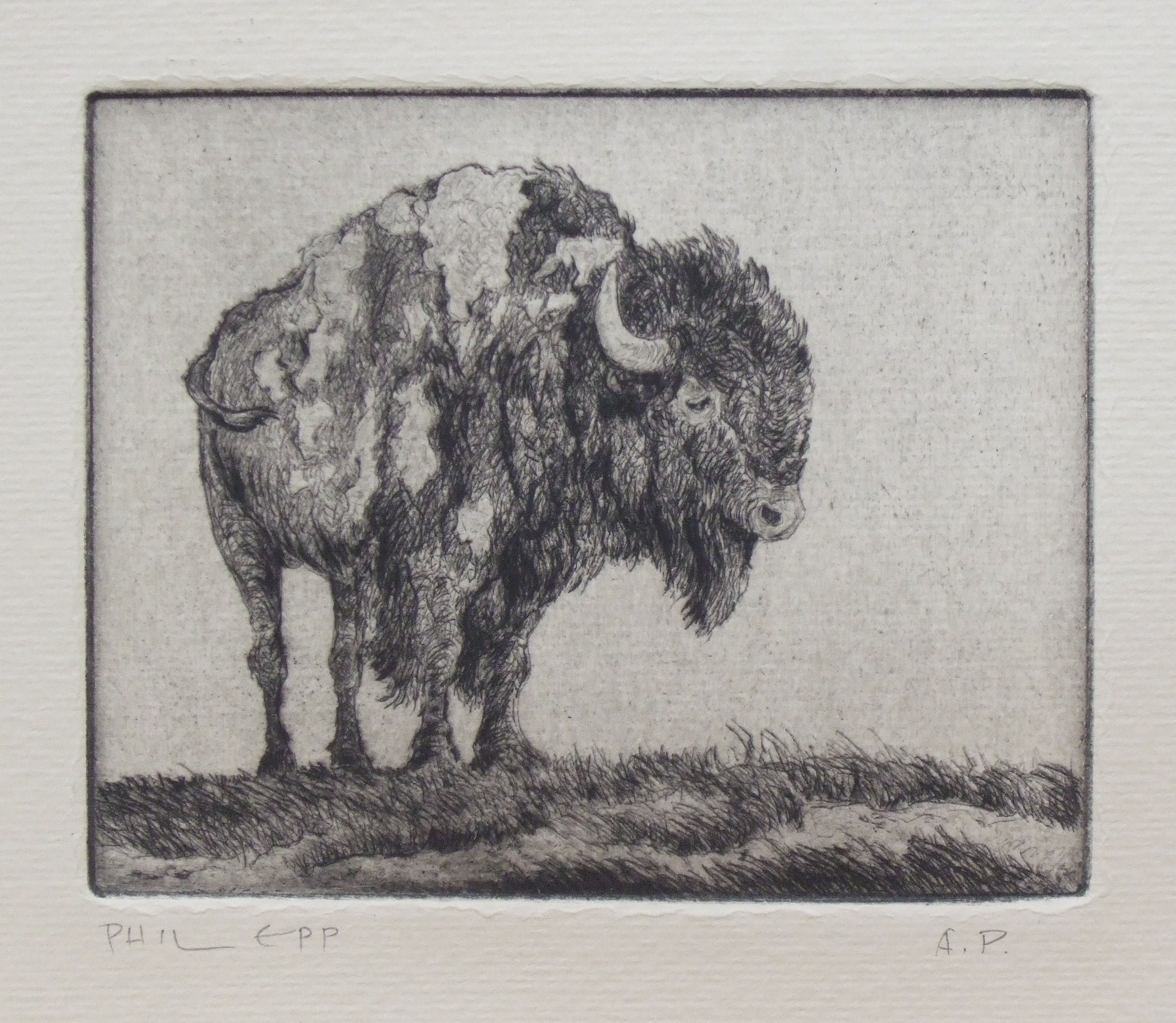 Phil Epp Paintings | Phil Epp Prints | Phil Epp Etchings | Phil Epp Art ...
