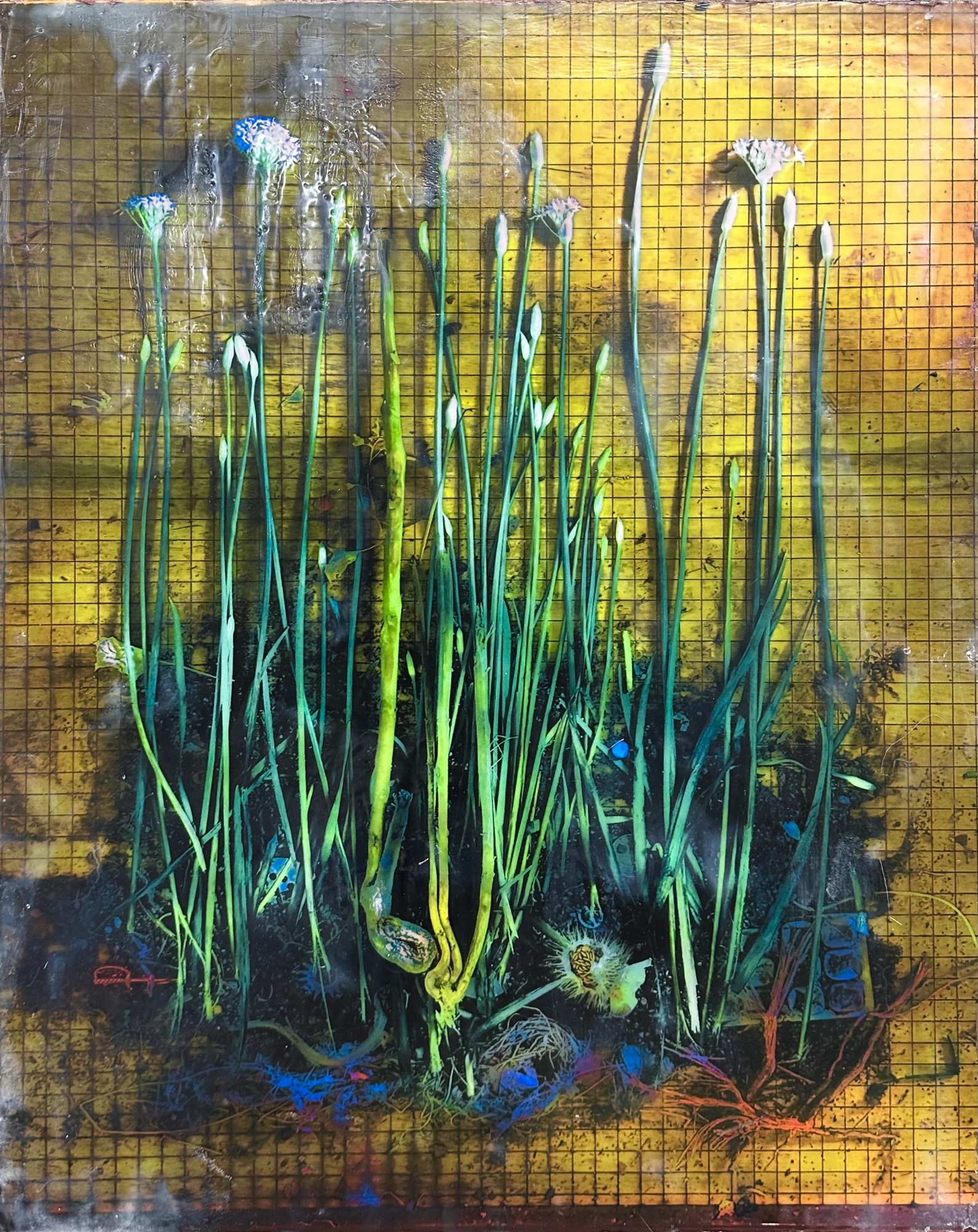 Michael Pointer – Reuben Saunders Gallery