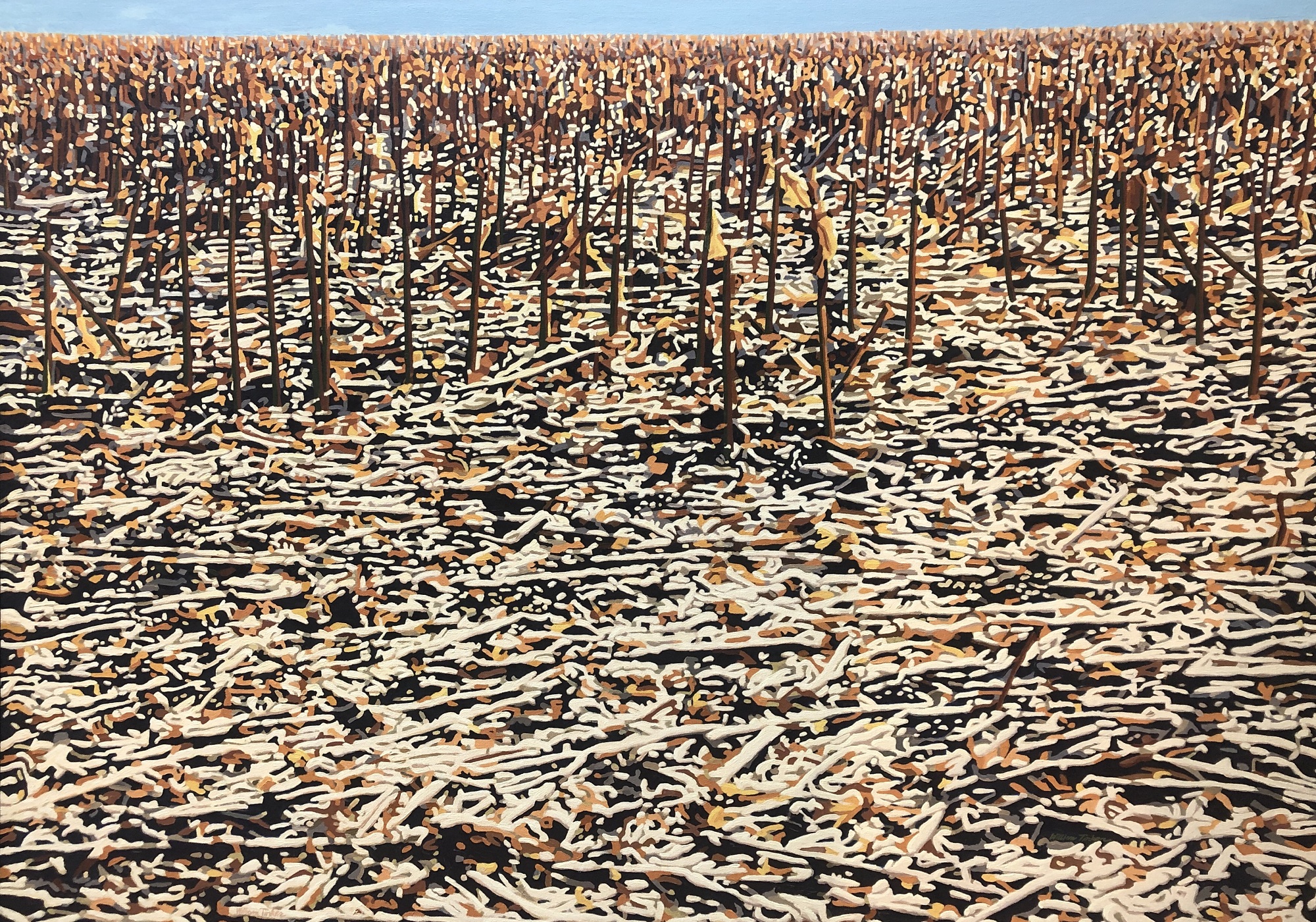 William Tinker – Reuben Saunders Gallery