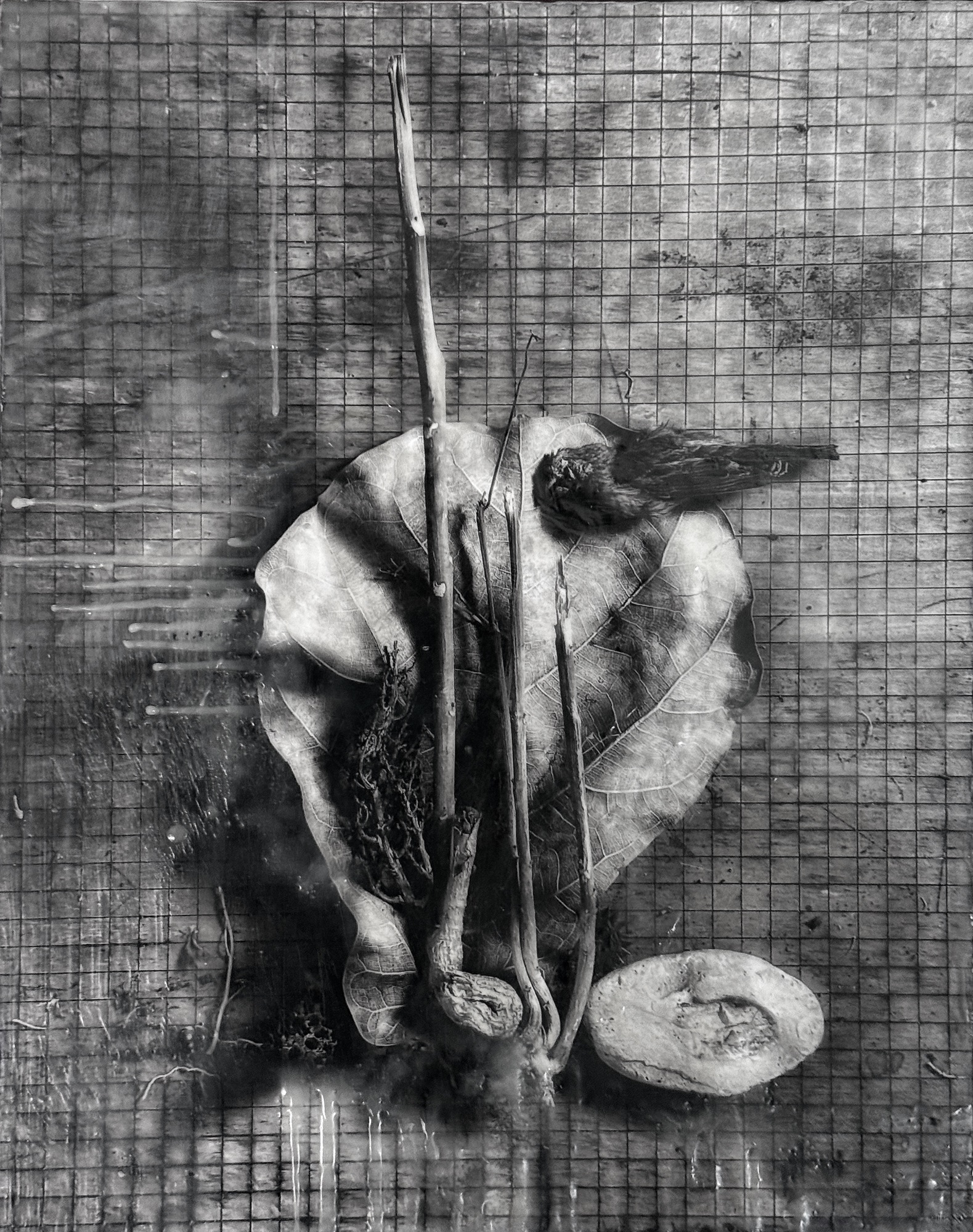 Michael Pointer – Reuben Saunders Gallery