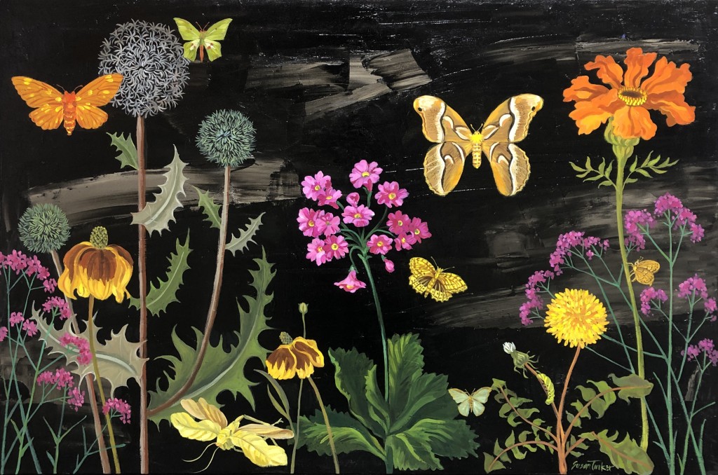 Susan Tinker – Reuben Saunders Gallery