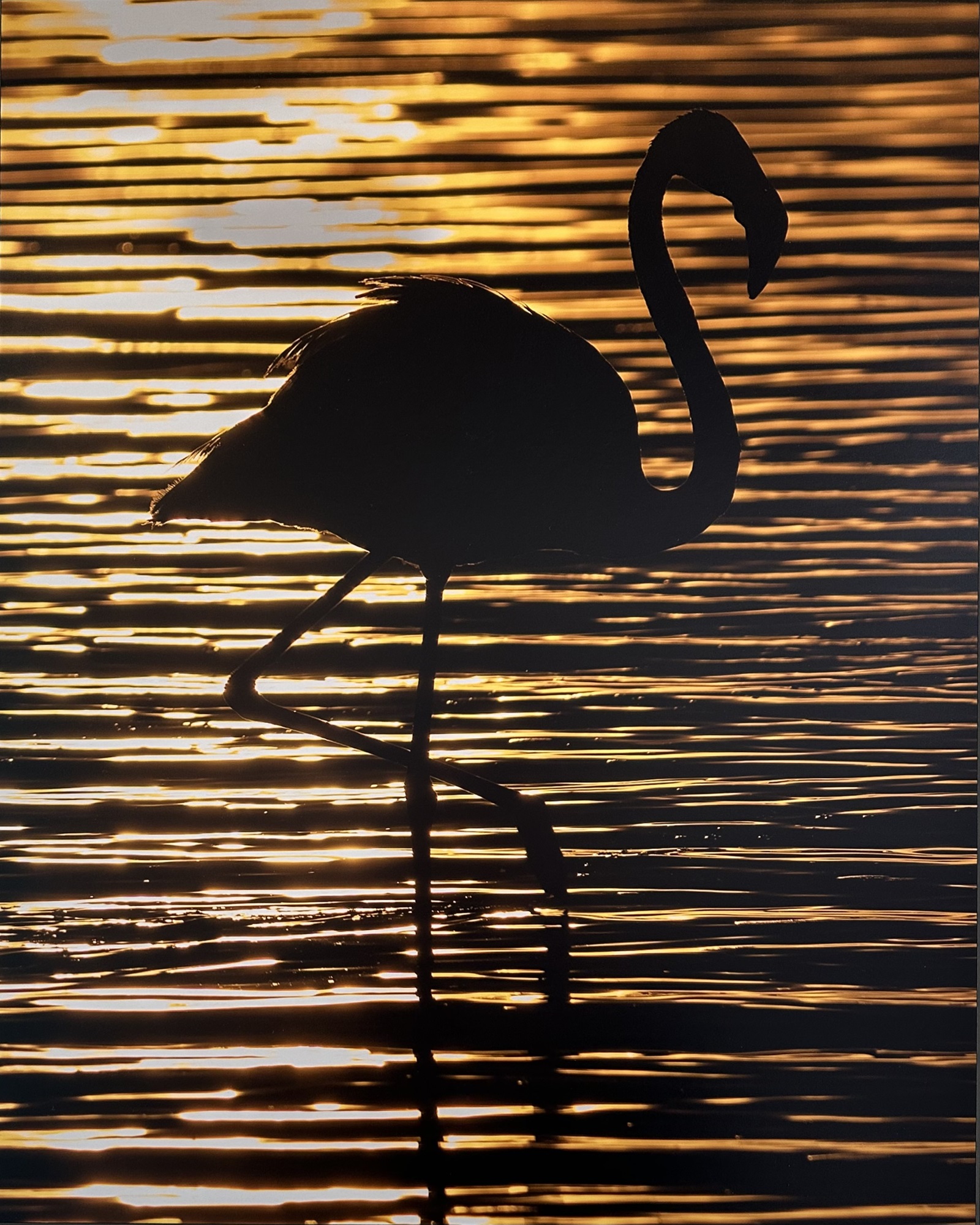 R. Todd Slawson – Reuben Saunders Gallery