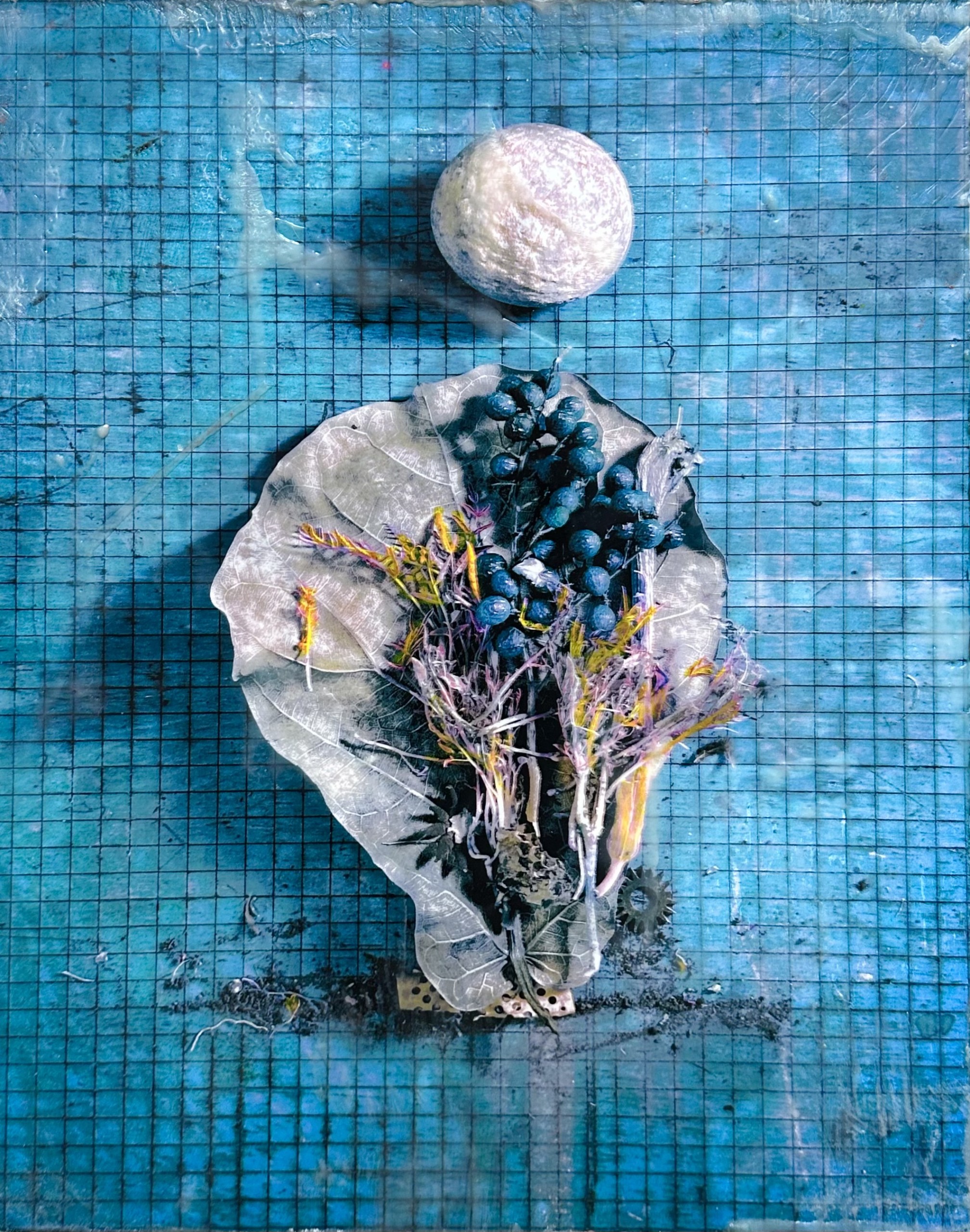 Michael Pointer – Reuben Saunders Gallery