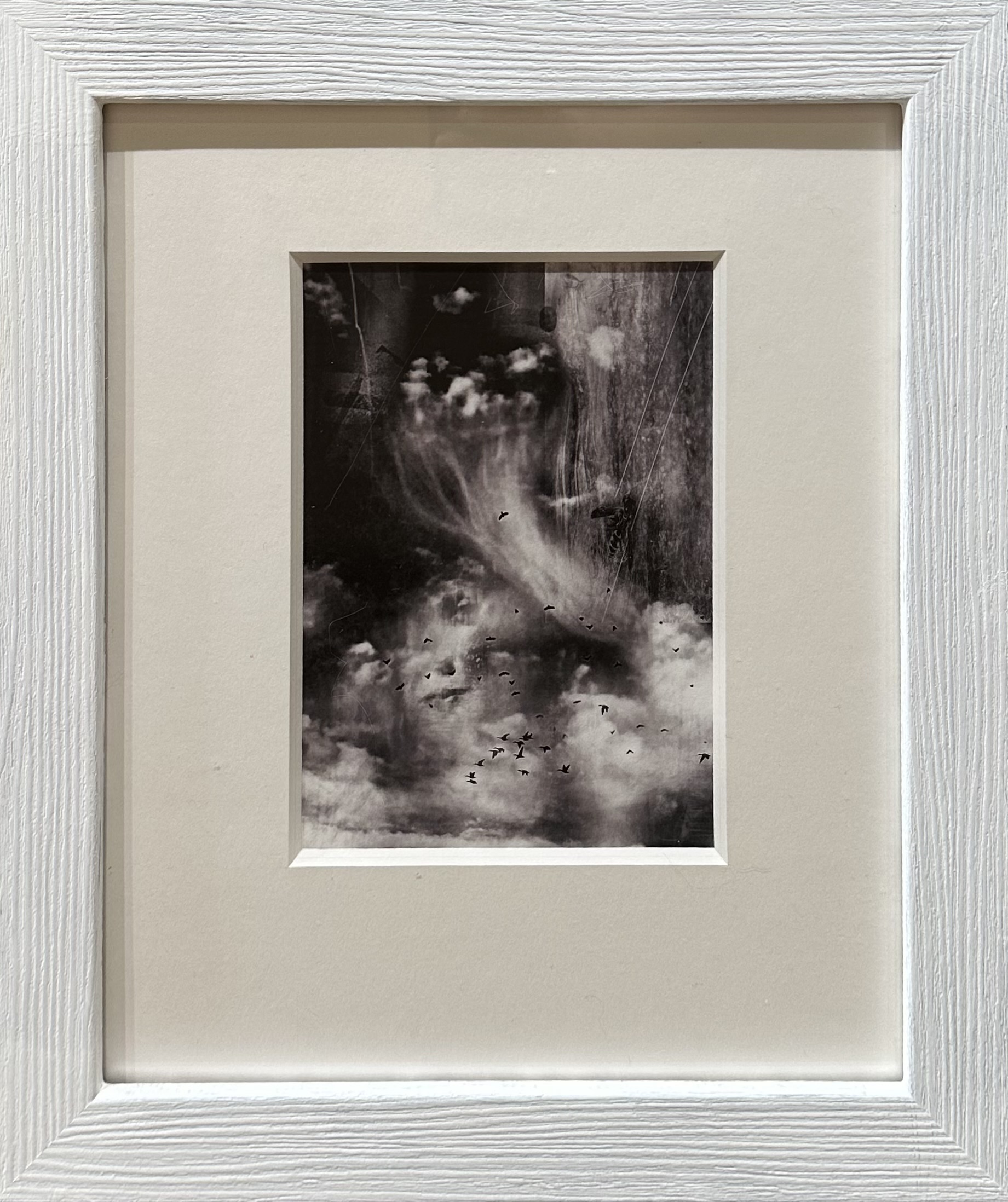 Michael Pointer – Reuben Saunders Gallery