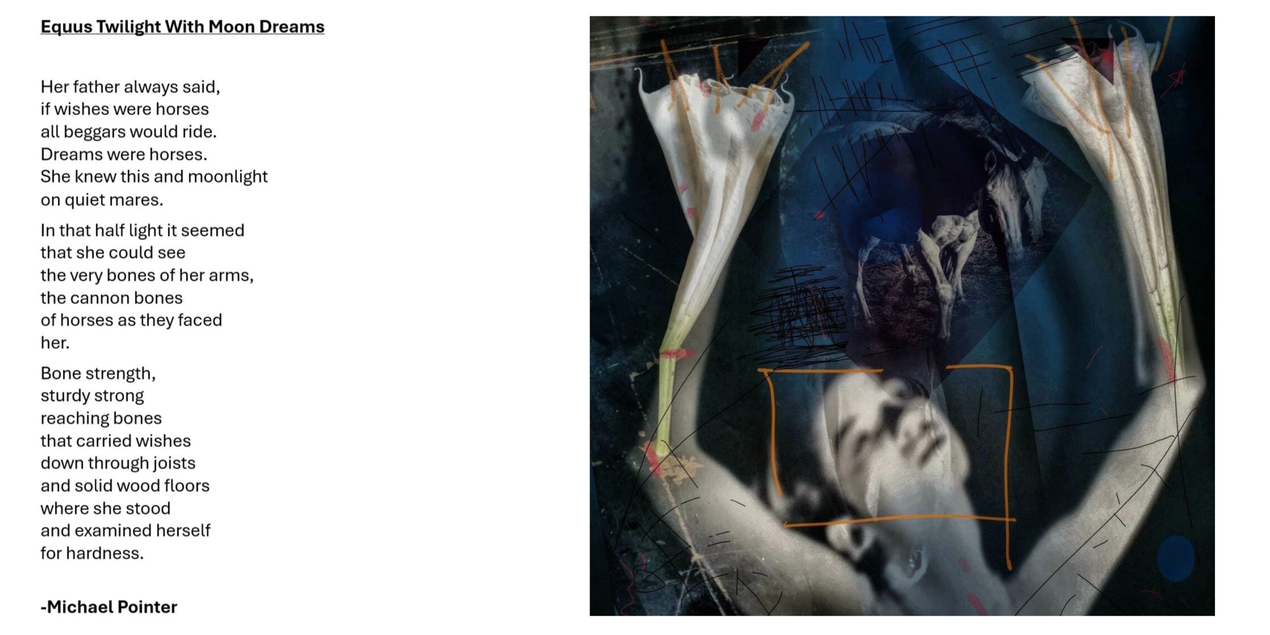Michael Pointer – Reuben Saunders Gallery