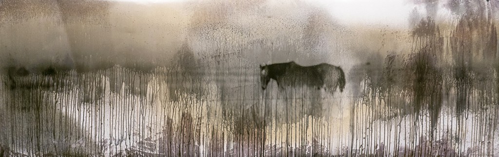 Michael Pointer – Reuben Saunders Gallery