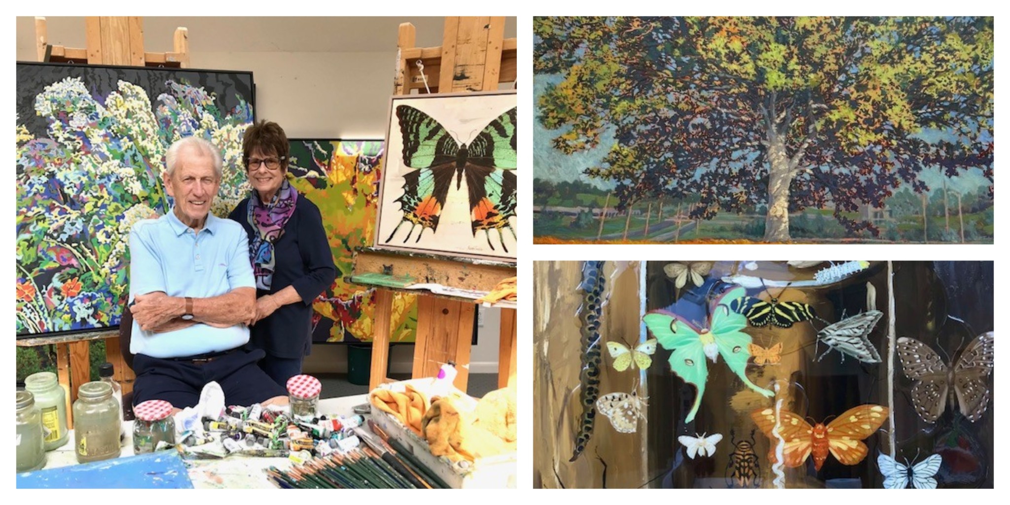 “WONDERLAND” – Susan Tinker & William Tinker – Reuben Saunders Gallery