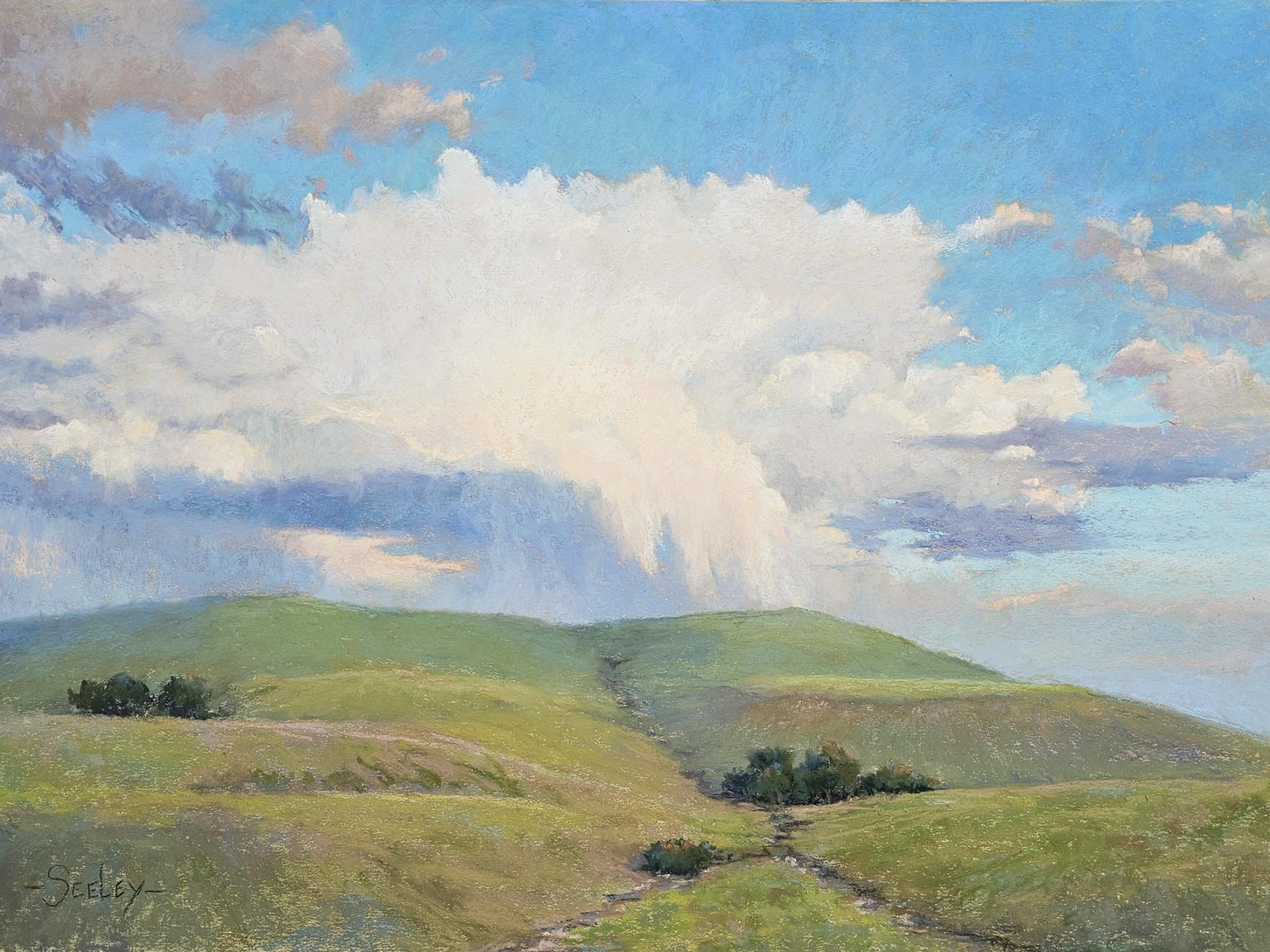 Michele Seeley – Reuben Saunders Gallery