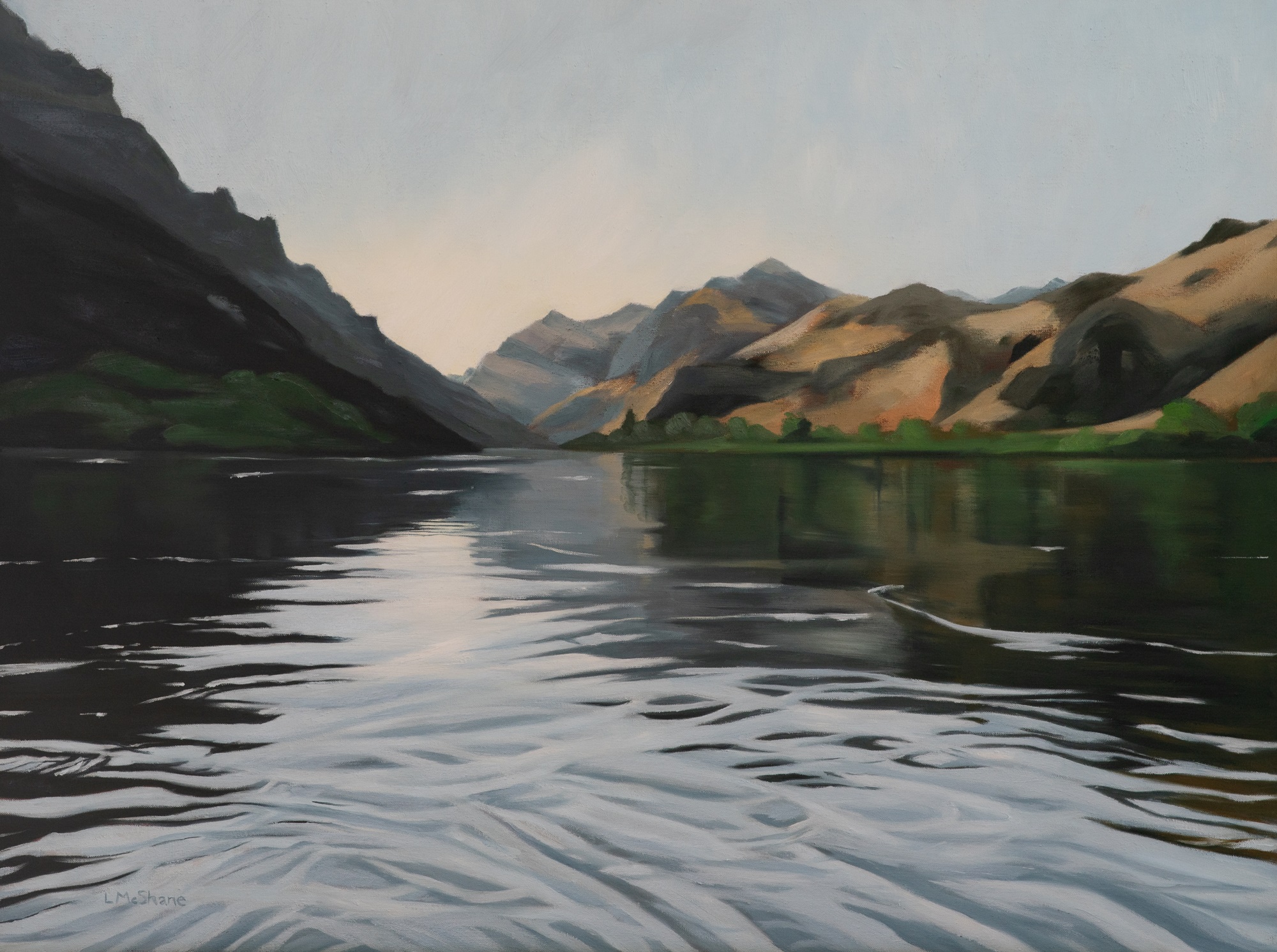 Lisa McShane – Reuben Saunders Gallery