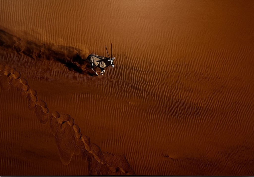 R. Todd Slawson – Reuben Saunders Gallery