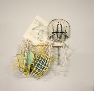 Trisha Coates – Reuben Saunders Gallery