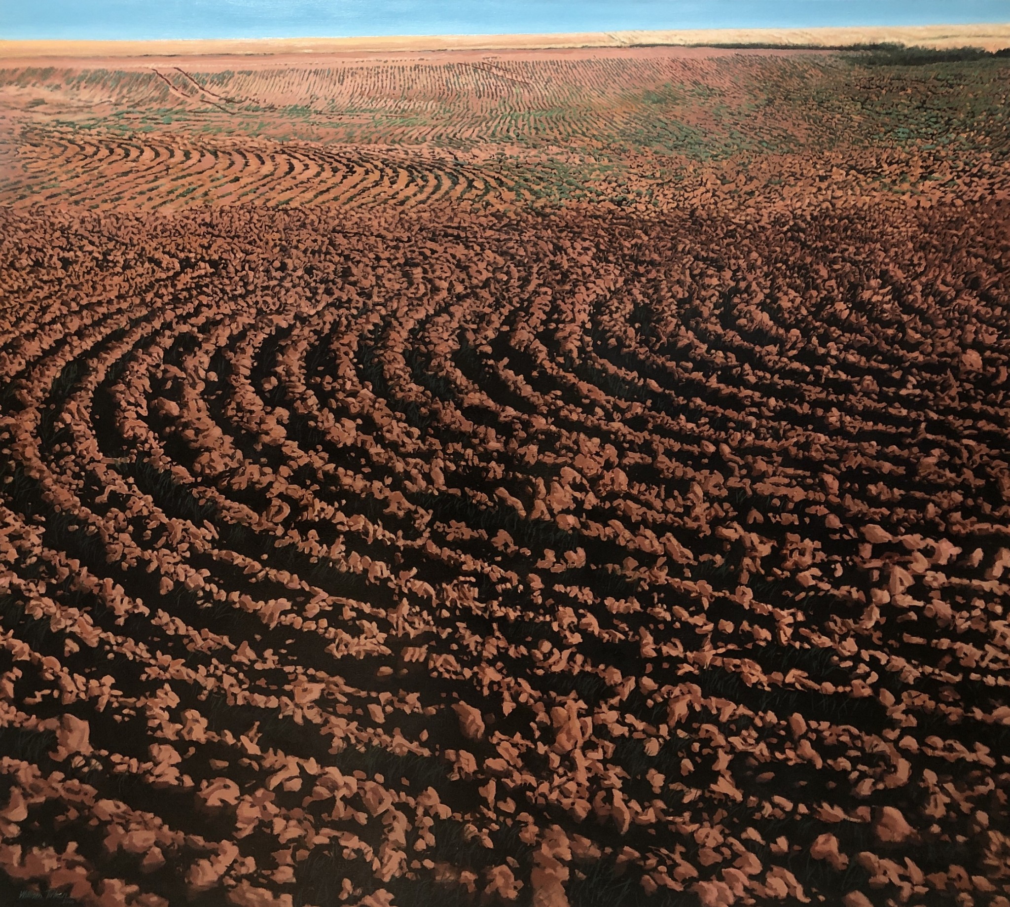 William Tinker – Reuben Saunders Gallery