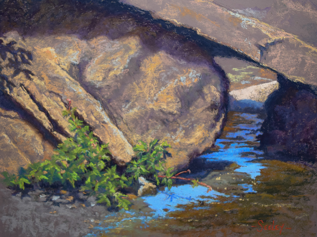 Michele Seeley – Reuben Saunders Gallery