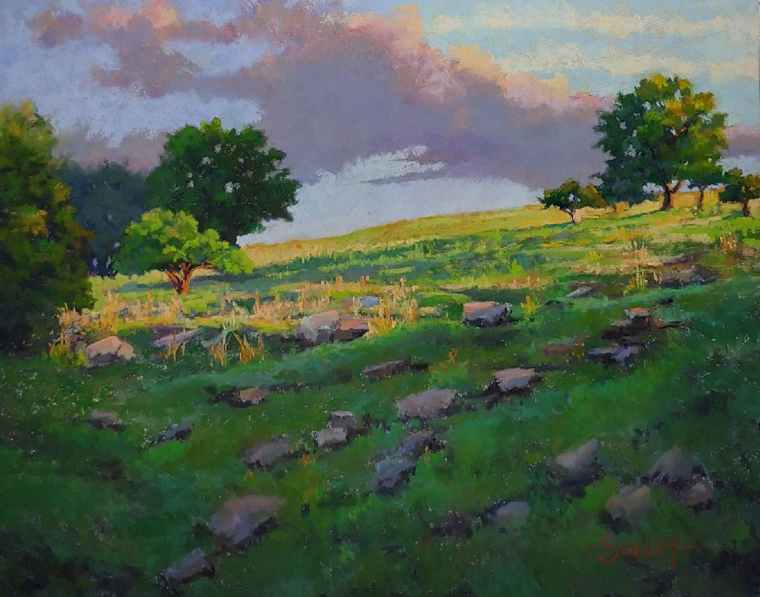 Michele Seeley – Reuben Saunders Gallery