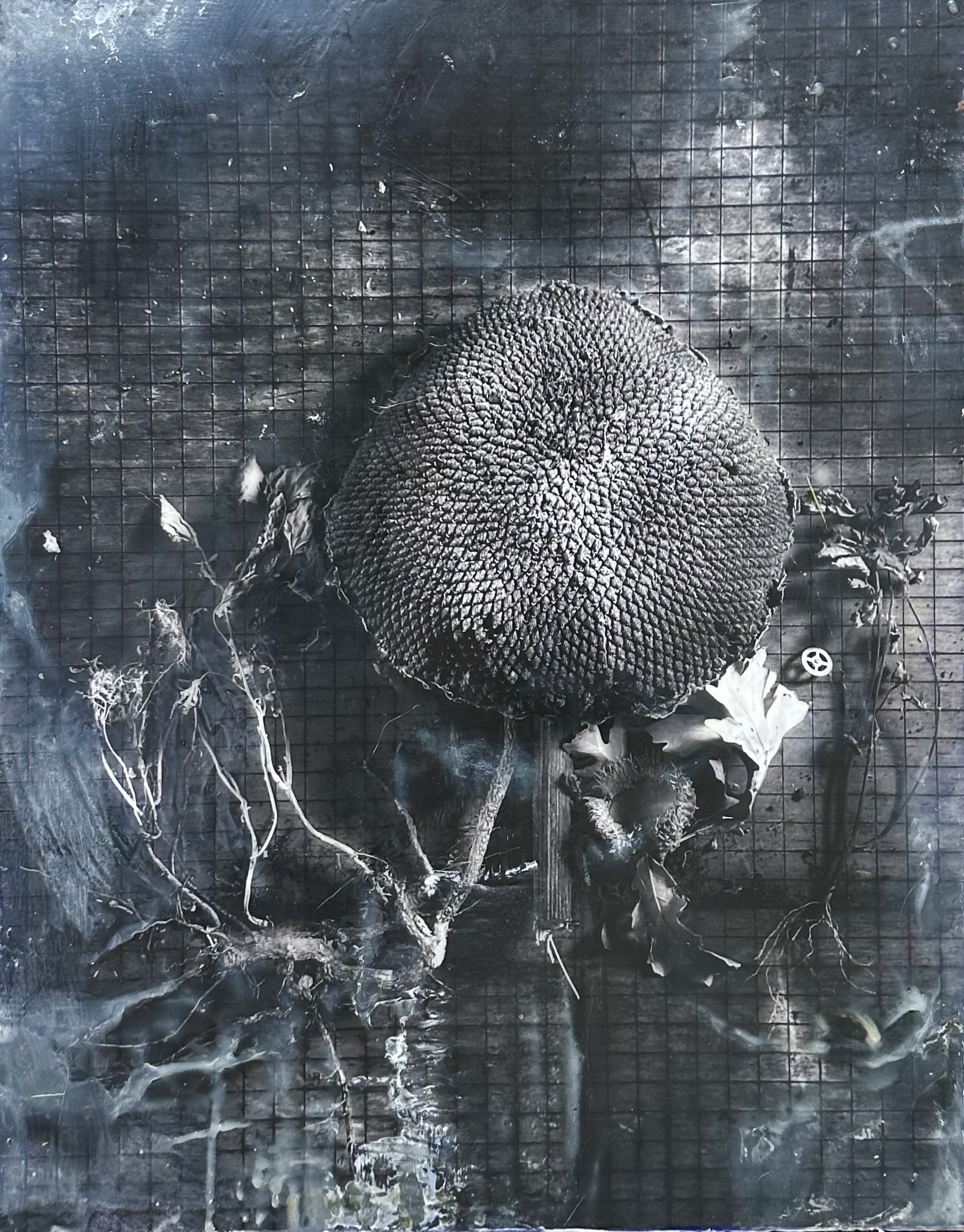 Michael Pointer – Reuben Saunders Gallery