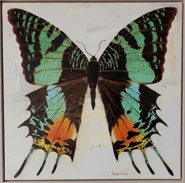 Susan Tinker – Reuben Saunders Gallery