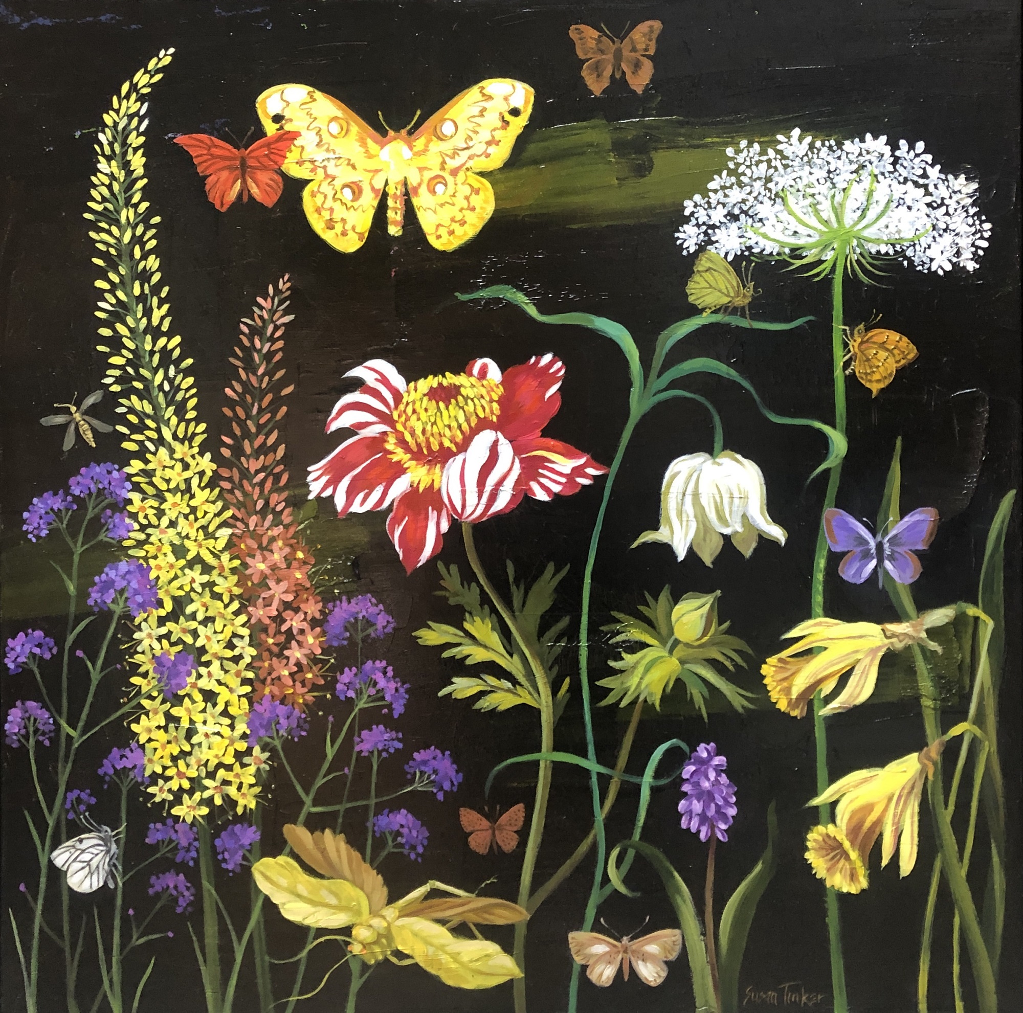 Susan Tinker – Reuben Saunders Gallery