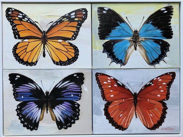 Susan Tinker – Reuben Saunders Gallery