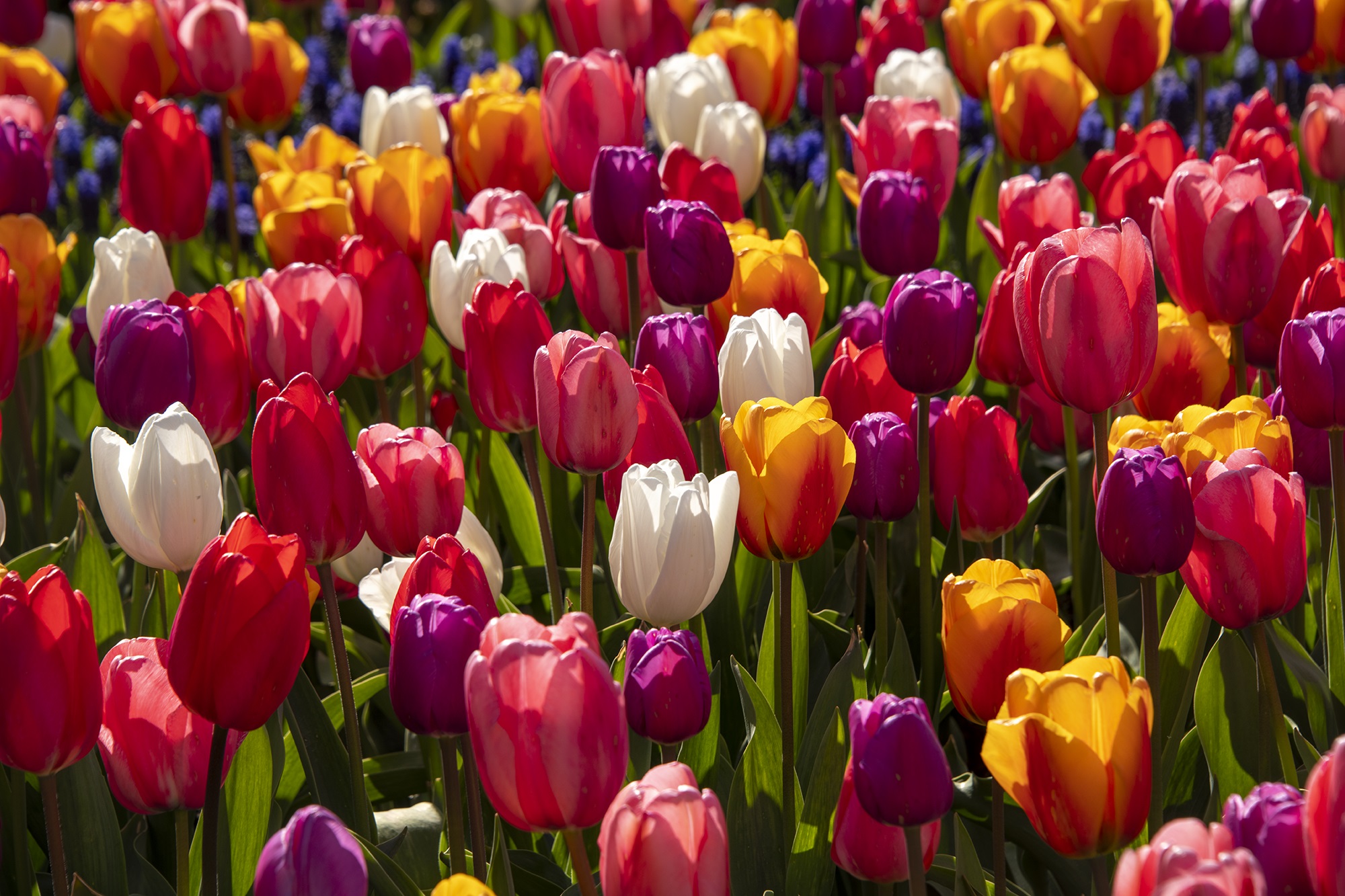 R. Todd Slawson – Reuben Saunders Gallery