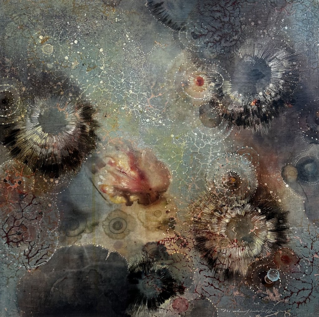 Marlana Stoddard Hayes – Reuben Saunders Gallery