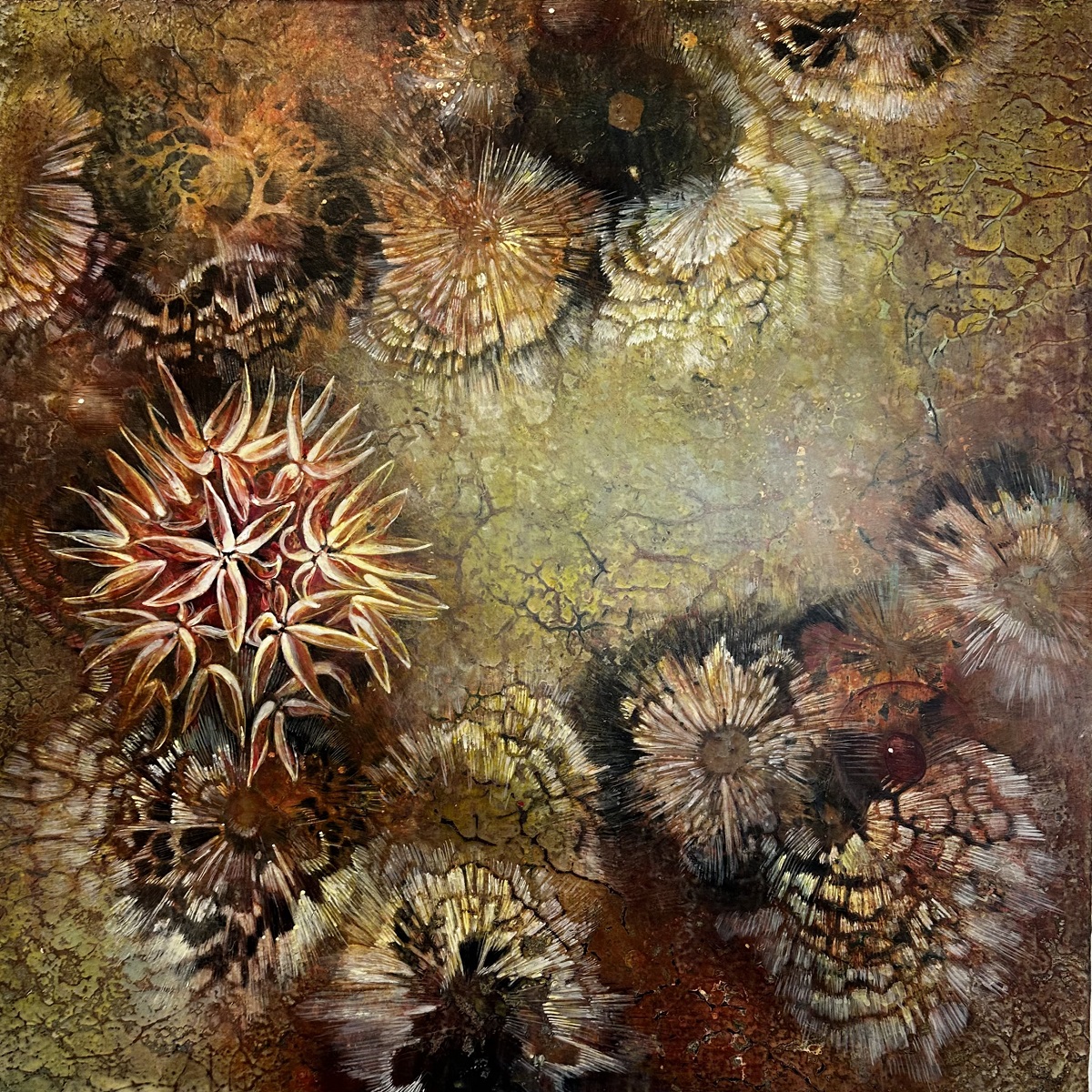 Marlana Stoddard Hayes – Reuben Saunders Gallery