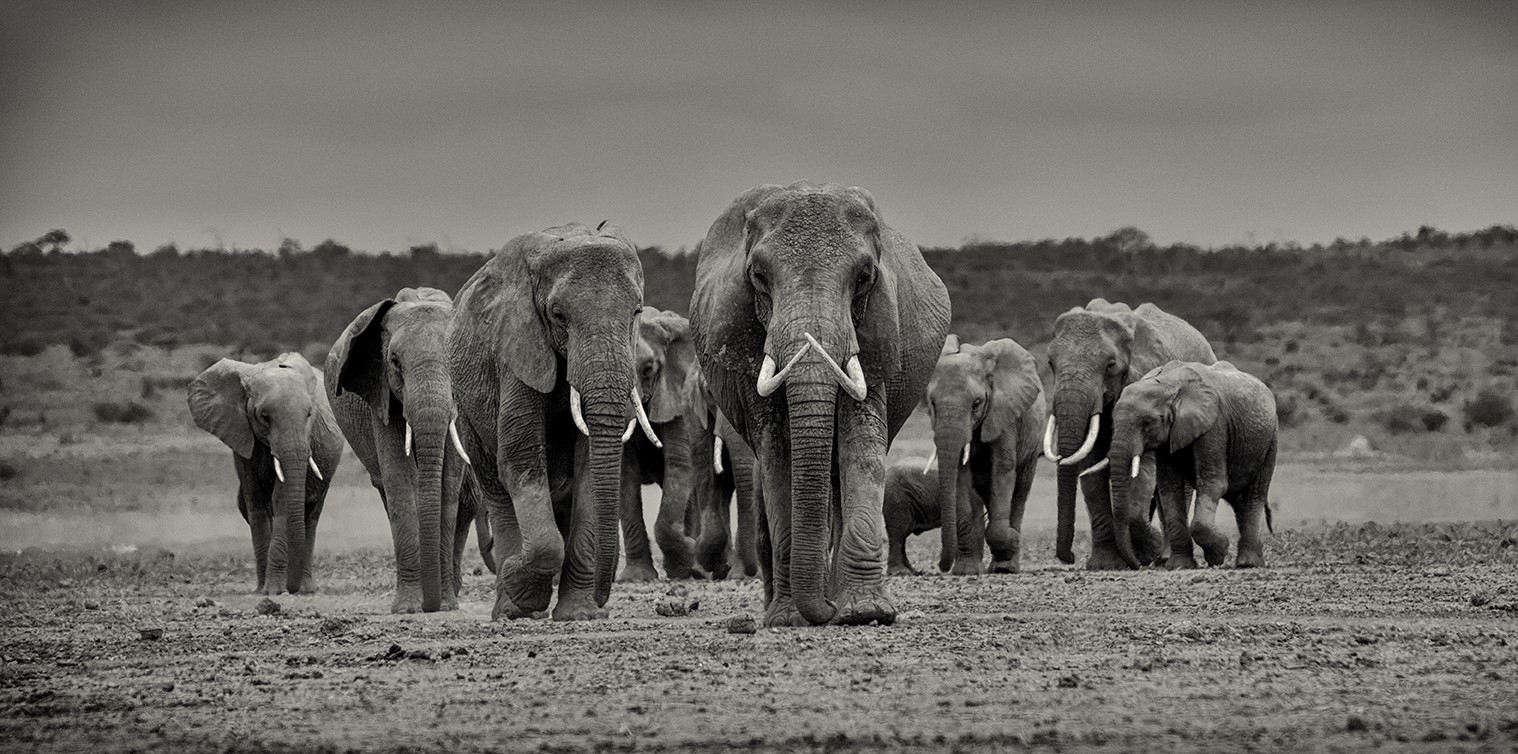 R. Todd Slawson – Reuben Saunders Gallery