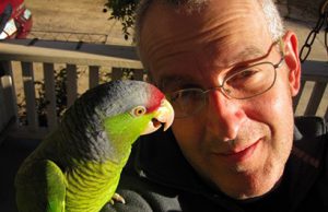 Brian Hinkle Art for Sale | Brian Hinkle Oil Paintings