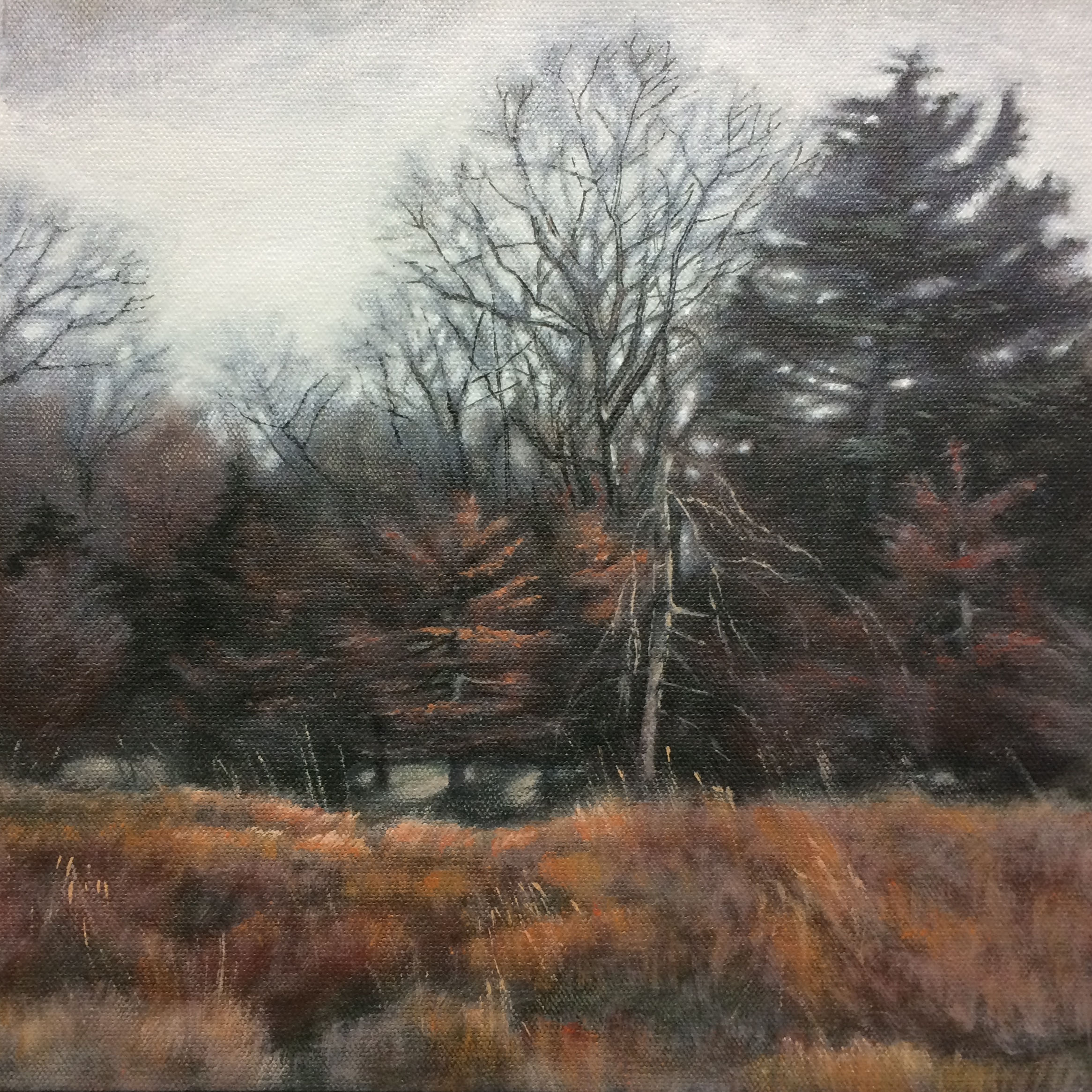 Fall Color Field – Reuben Saunders Gallery