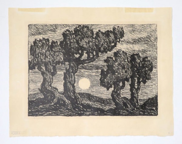 Services | Reuben Saunders Gallery